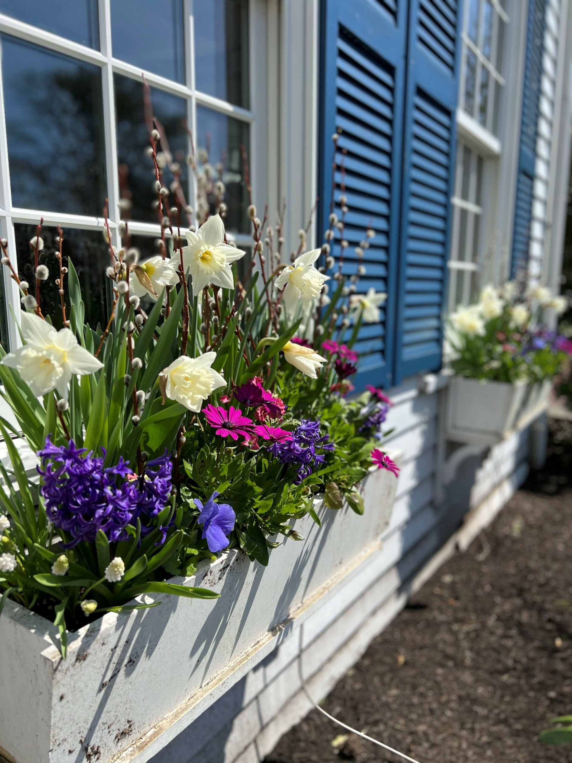 Best Time to Visit Cape Cod | Wequassett Resort & Golf Club