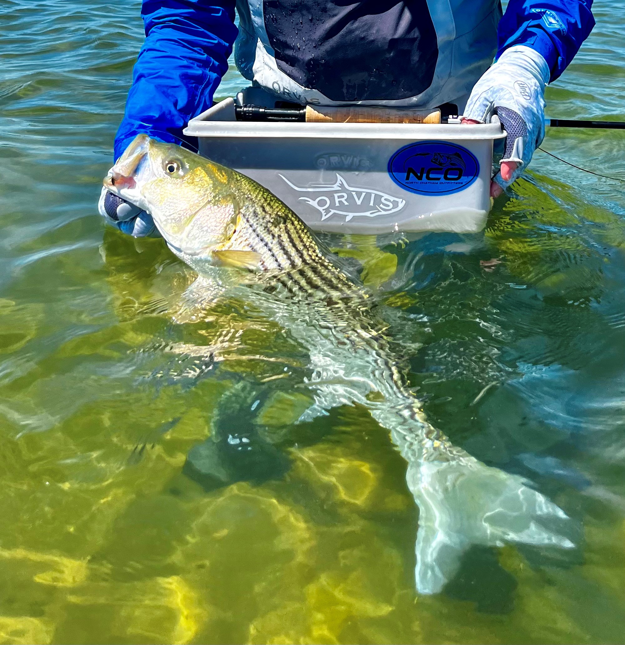 Orvis Flyfishing School | Wequassett